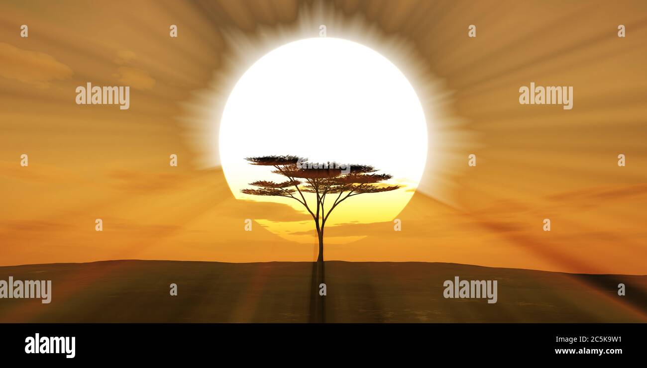 big sun sunset tree landscape, 3d illustrations Stock Photo - Alamy