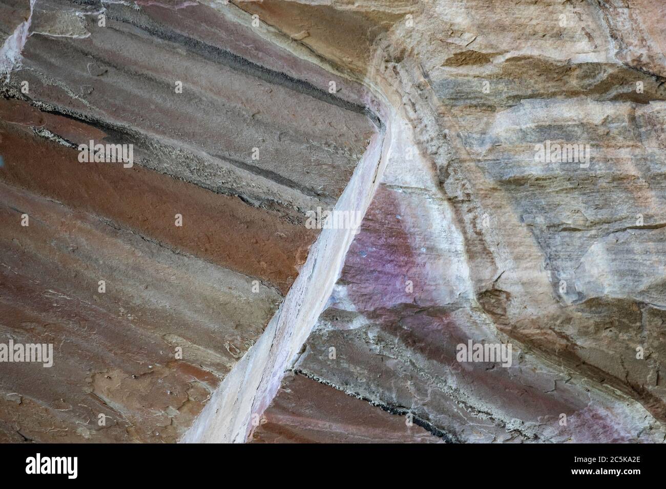 Aussie natural history hi-res stock photography and images - Alamy