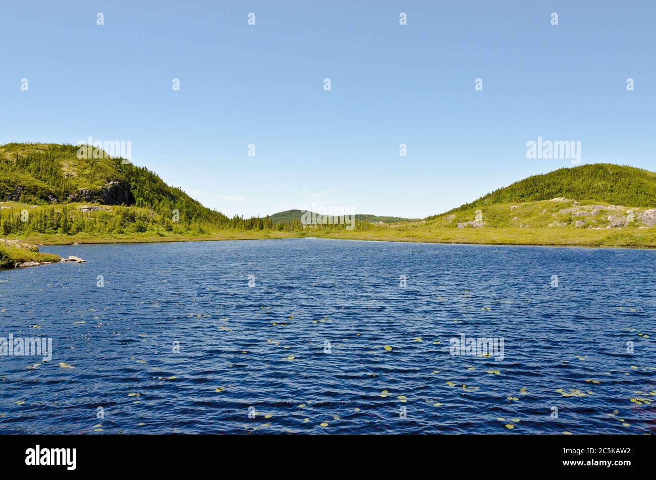 Lake in Newfoundland, Canada in summer time Stock Photo - Alamy