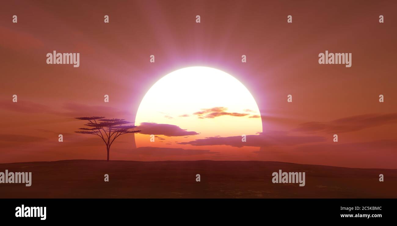 big sun sunset tree landscape, 3d illustrations Stock Photo - Alamy