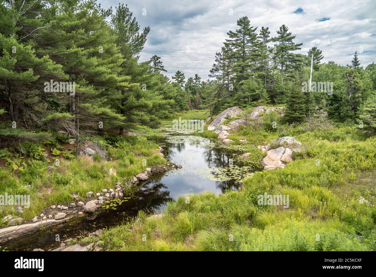 Muskoka lake scene hi-res stock photography and images - Alamy