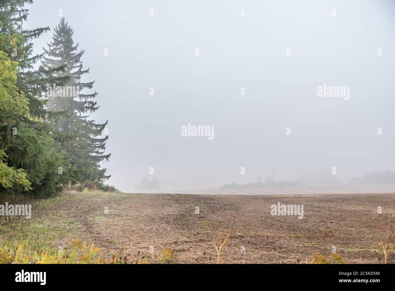 Strong fog and country farm in the morning Stock Photo - Alamy