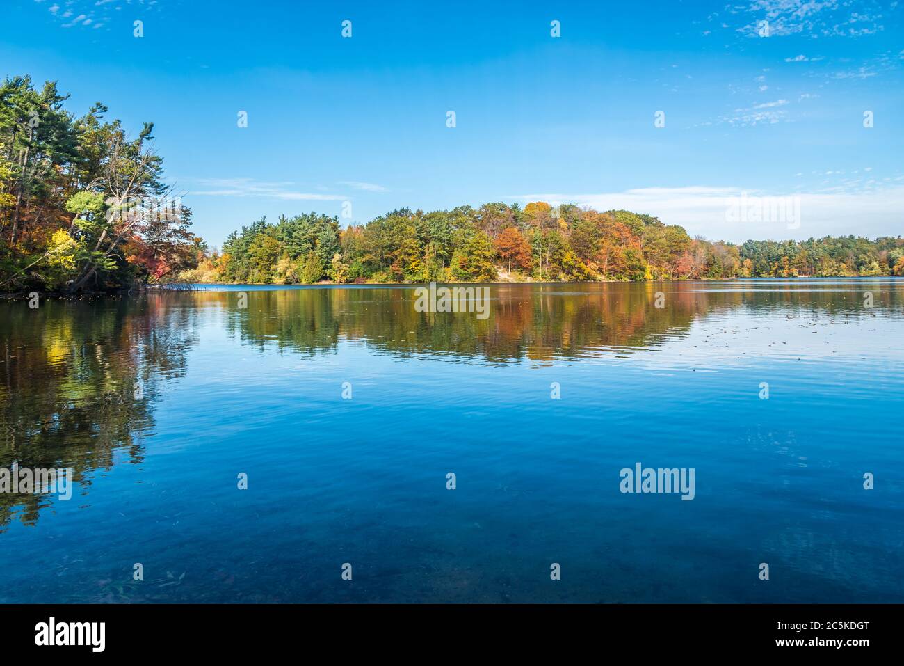 Blue sky over forest lake and colorful trees Stock Photo - Alamy
