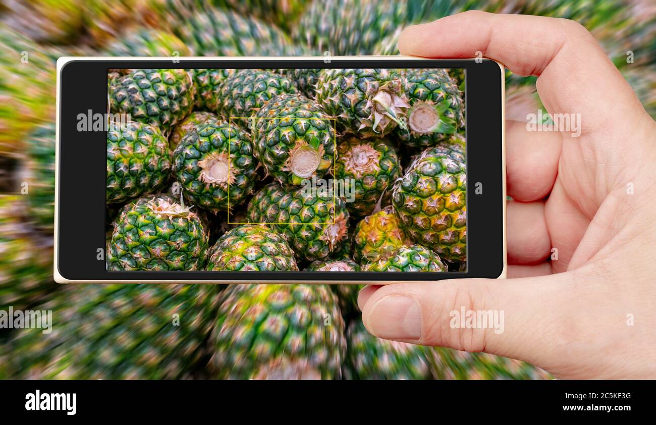 Fruits green screen hi-res stock photography and images - Alamy