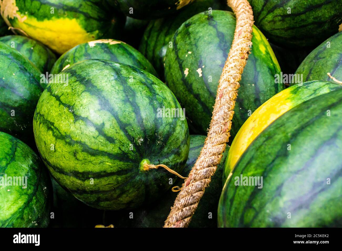Very large melons hi-res stock photography and images - Alamy