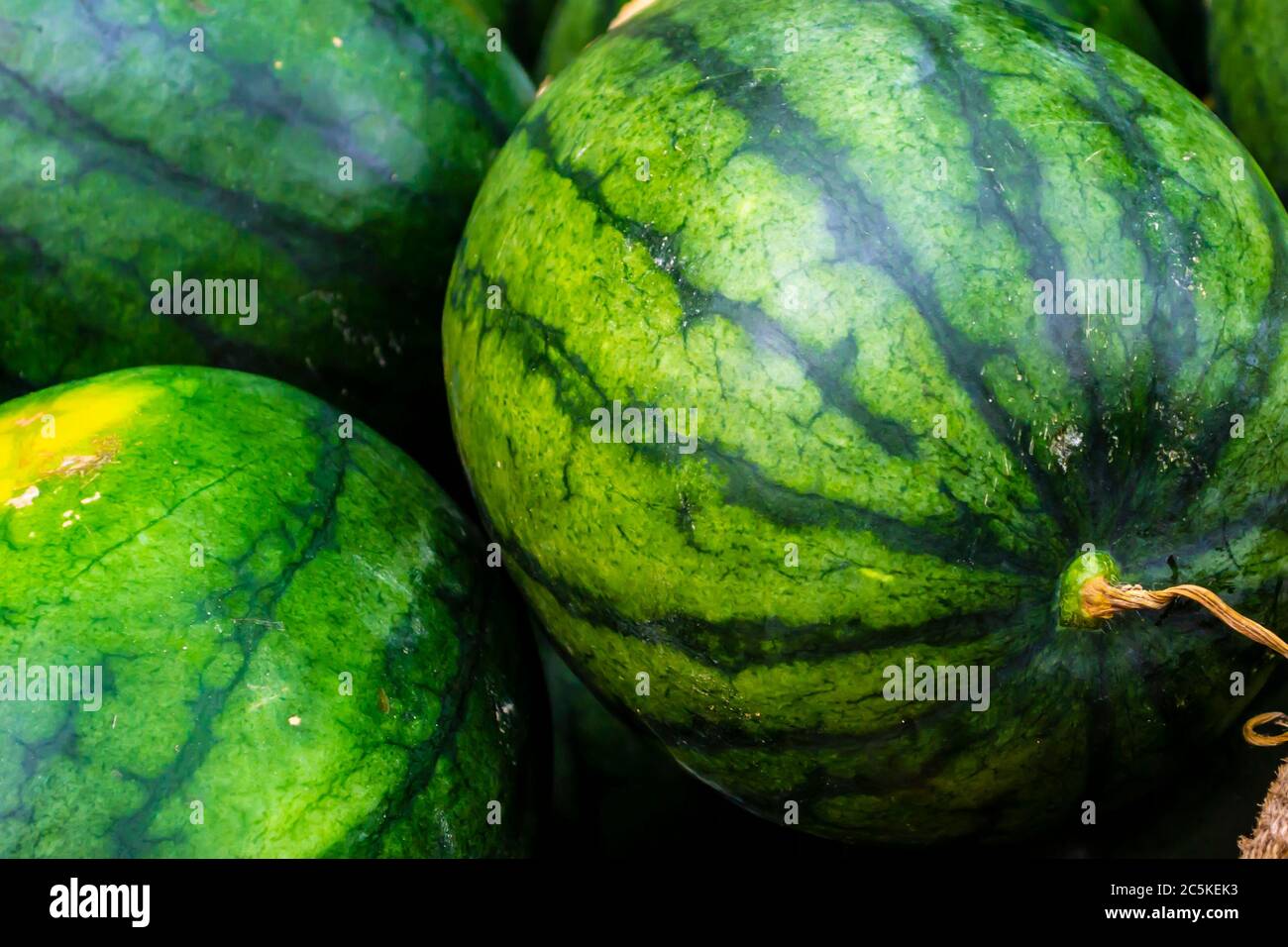 Very large melons hi-res stock photography and images - Alamy