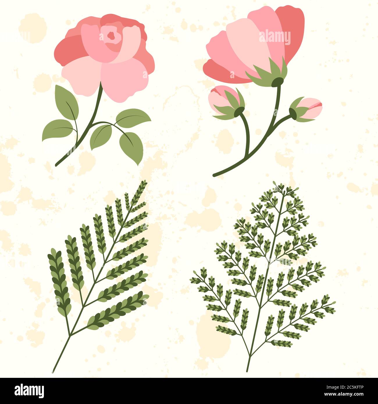 Set of two pink roses flower and fern. Wedding floral decoration ...