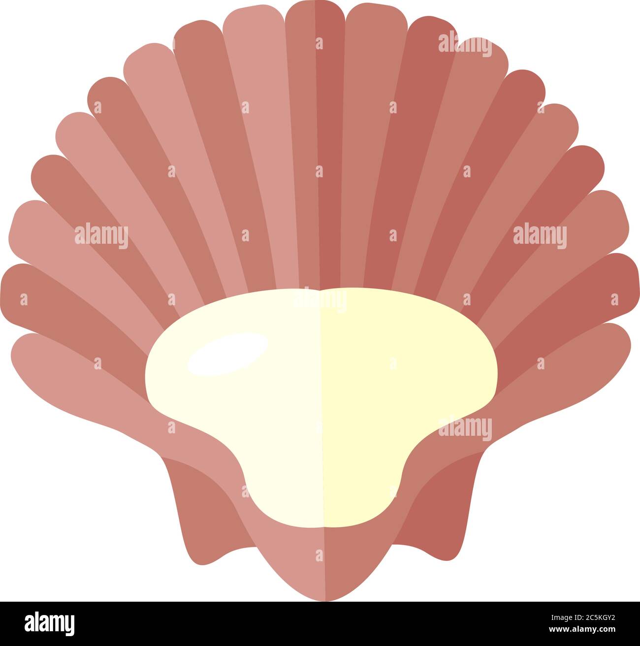 Clam seashell Stock Vector Images - Alamy