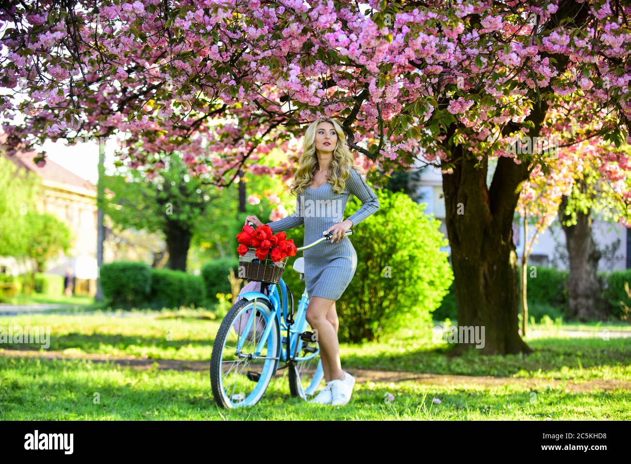 Complete relax. beautiful spring season nature. cherry tree blooming ...