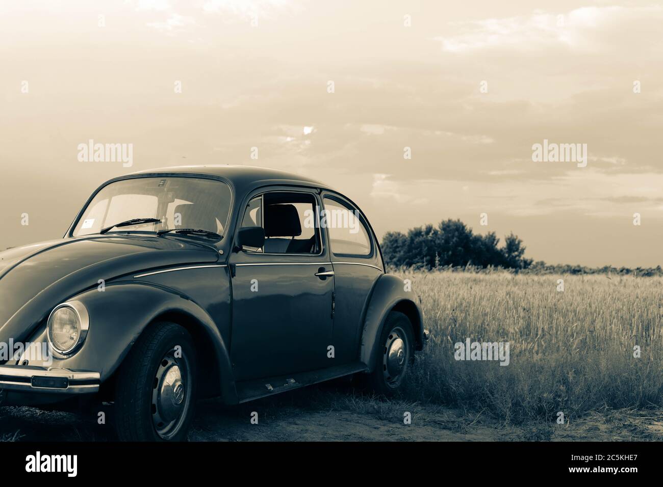 Volkswagen Beetle oldtimer, wheatfiled Stock Photo - Alamy