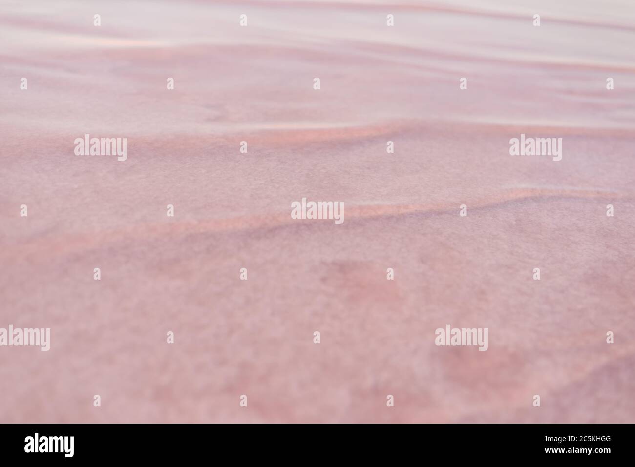Textured background of the pink lake. Close up of pink salt water ...