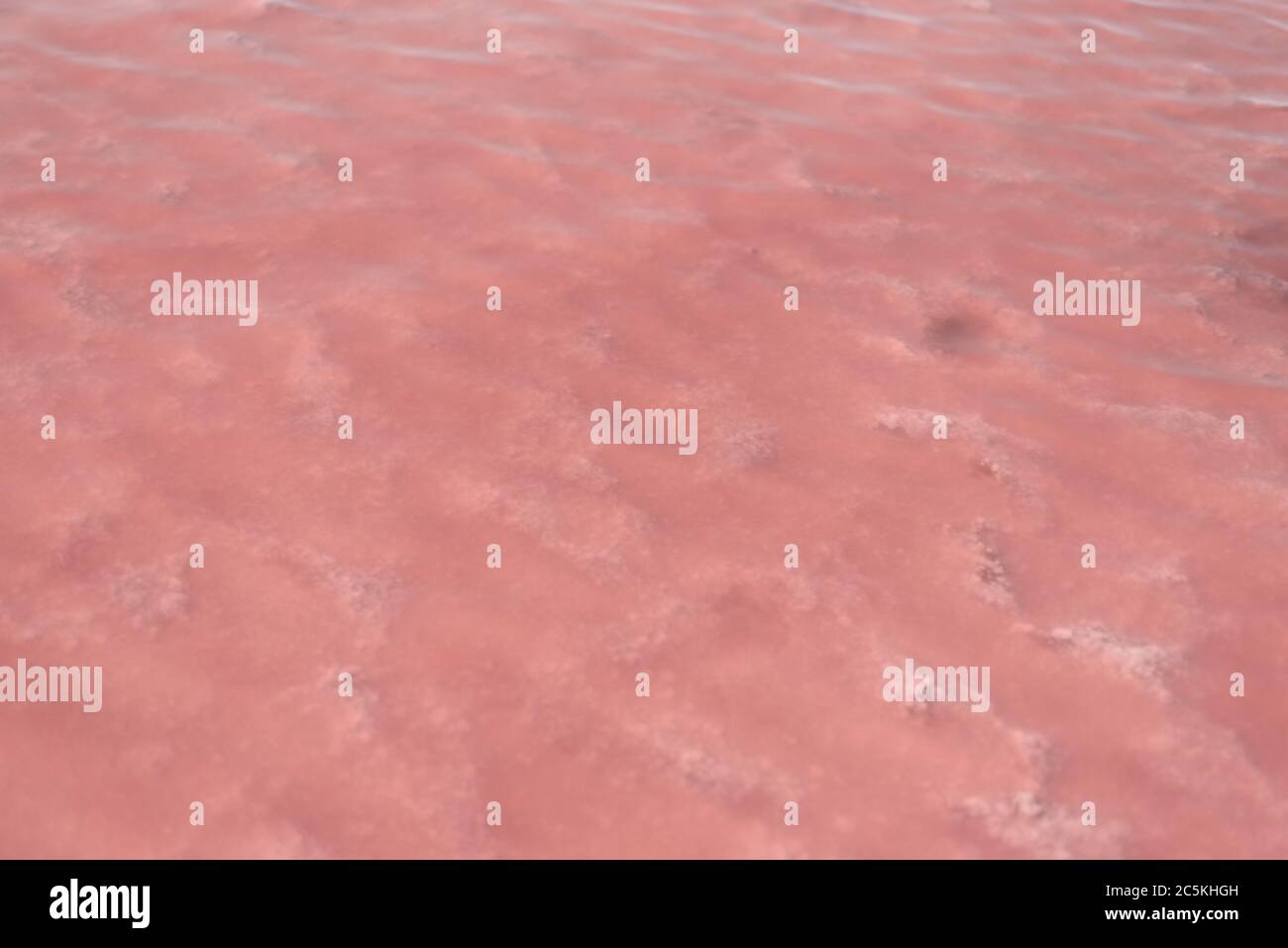 Textured background of the pink lake. Close up of pink salt water Stock ...