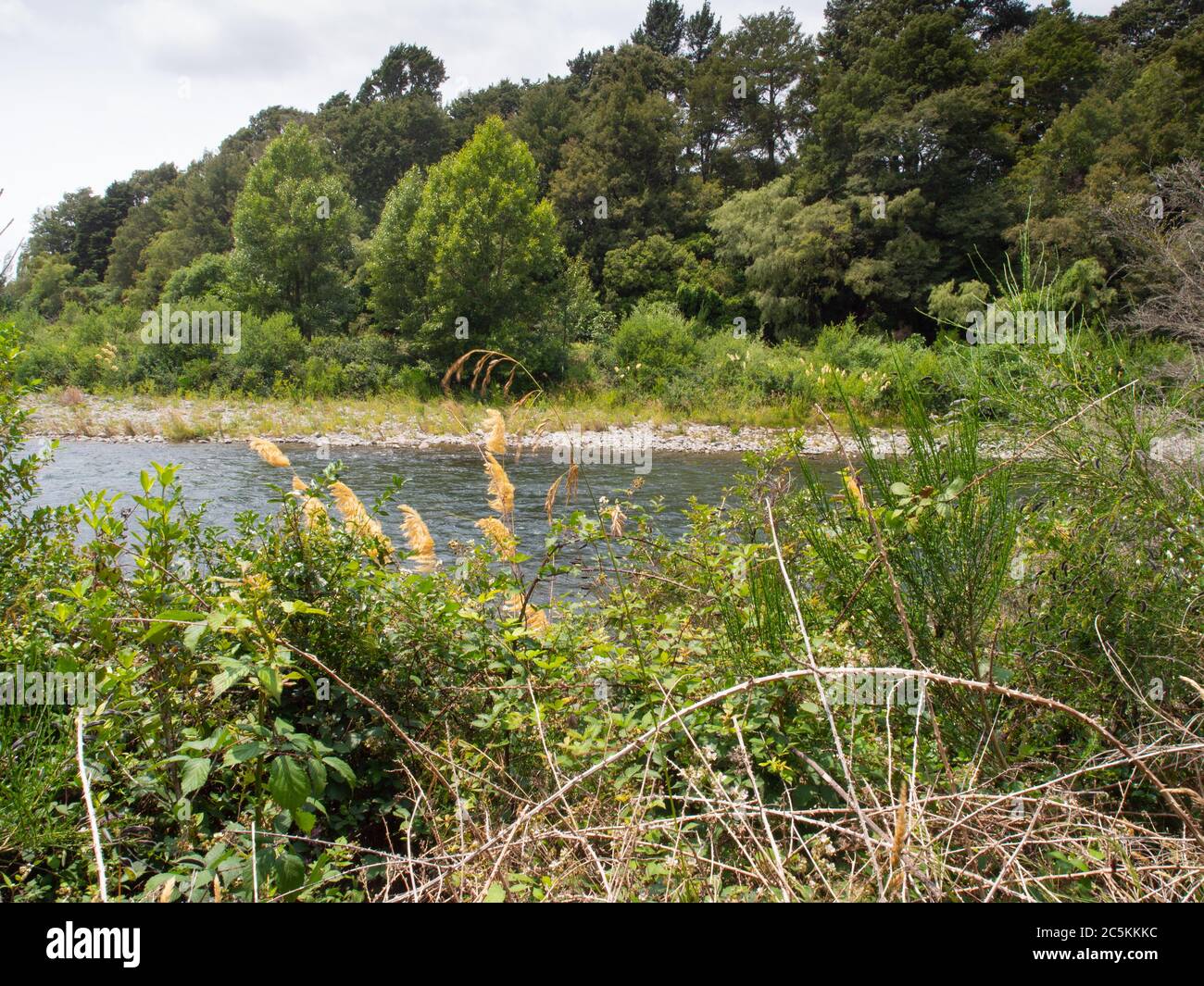 New zealand river hi-res stock photography and images - Alamy