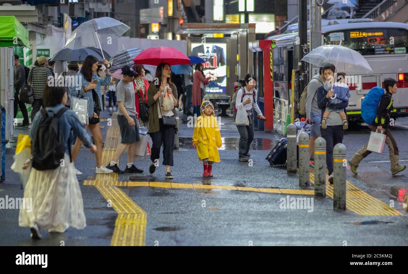 Pedestrian walking in Shibuya street sidewalk in a rainy night, Tokyo ...
