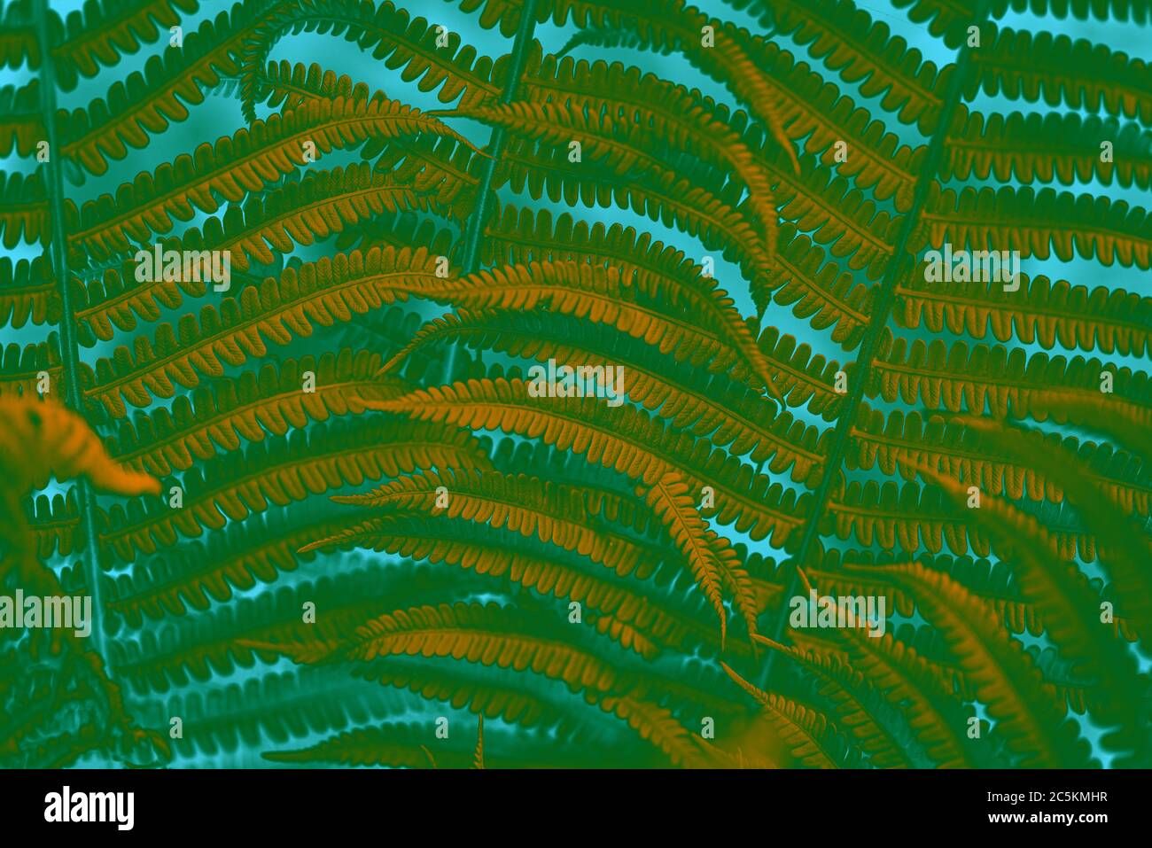 Symbol Wildlife Ecology. Toned background in green and yellow in the ...