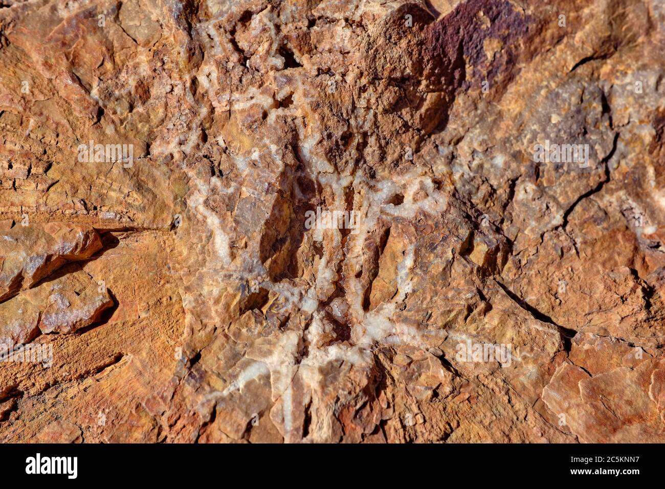 Old stones texture and background. Rock texture Stock Photo - Alamy