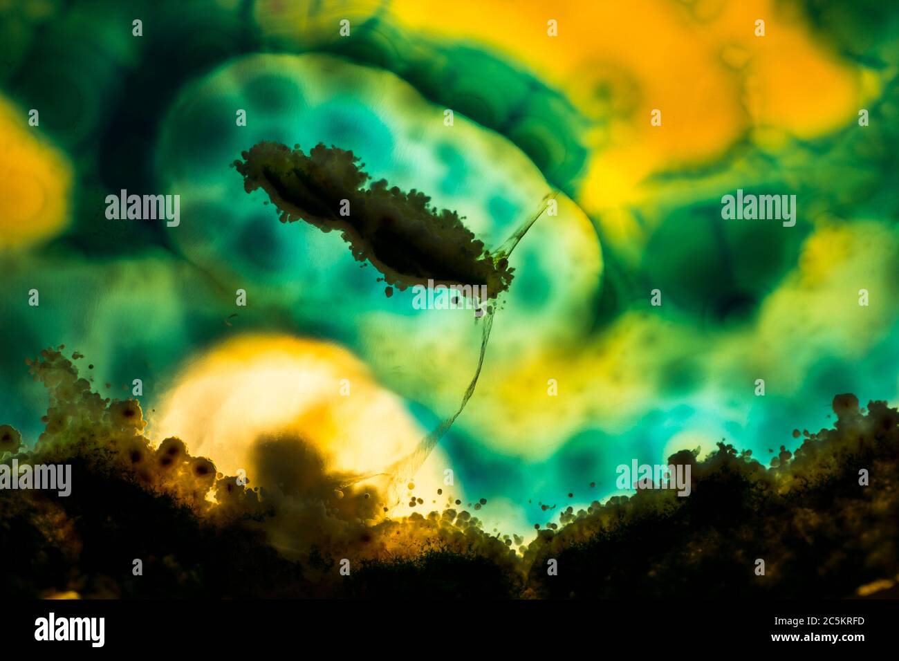 Geode rock hi-res stock photography and images - Alamy