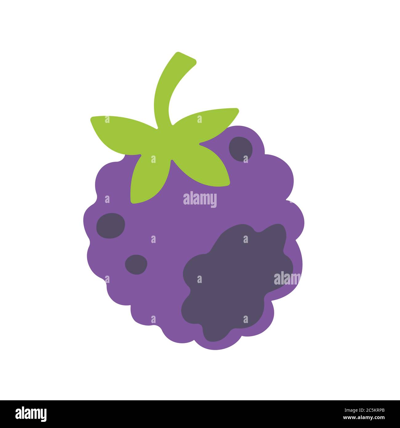 Raspberry on white background. Vector illustration in trendy flat style ...