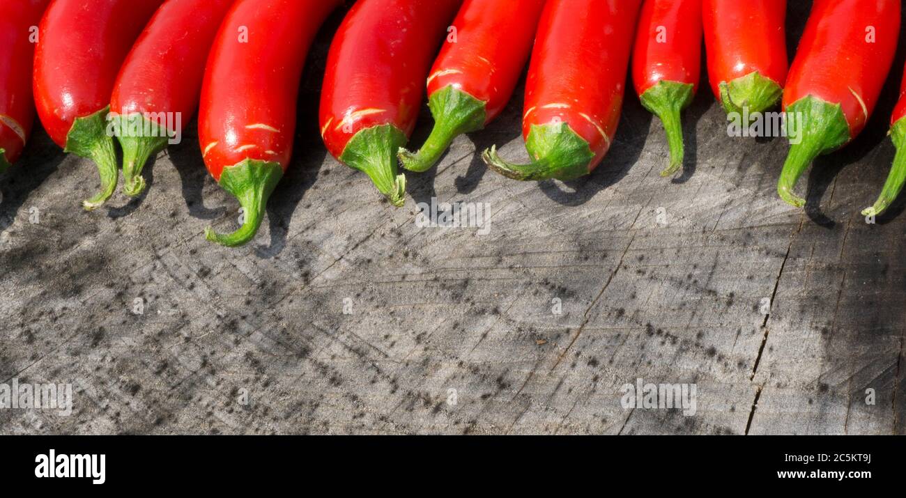 Red Serrano Peppers Close Up Arrangement on a Wood Backdrop Stock Photo ...