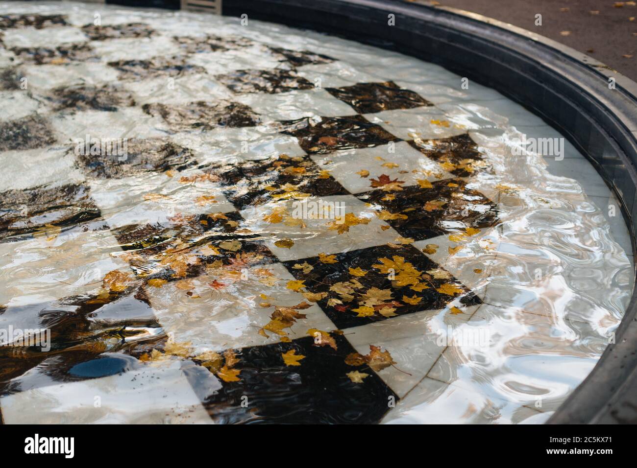 Fallen different colourful leaves floating in swimming pool water ...