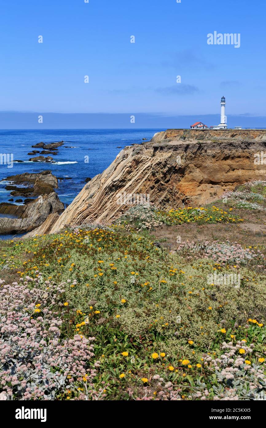 Point Arena Lighthouse,California,USA Stock Photo - Alamy