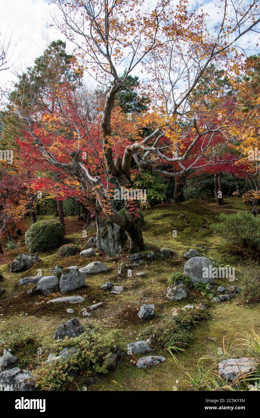 Beautiful zen garden in Tenryuji temple in Arashiyama, Kyoto, Japan ...