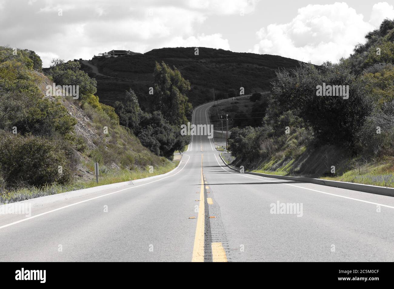 Blazing a Trail Stock Photo - Alamy