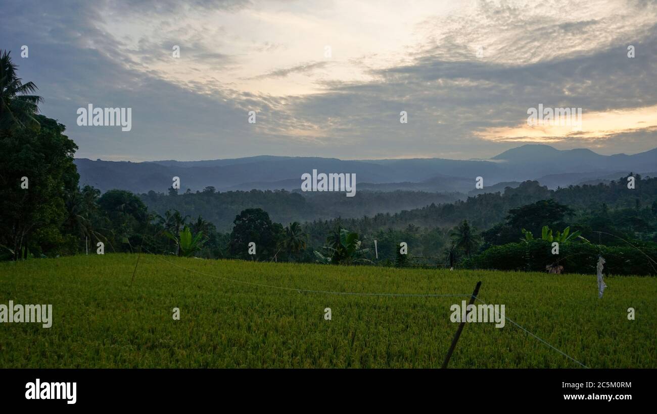 Beautiful sky when the sun rises from the rice fields Stock Photo - Alamy
