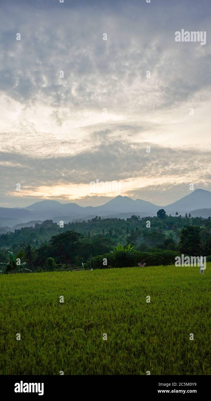 Beautiful sky when the sun rises from the rice fields Stock Photo - Alamy