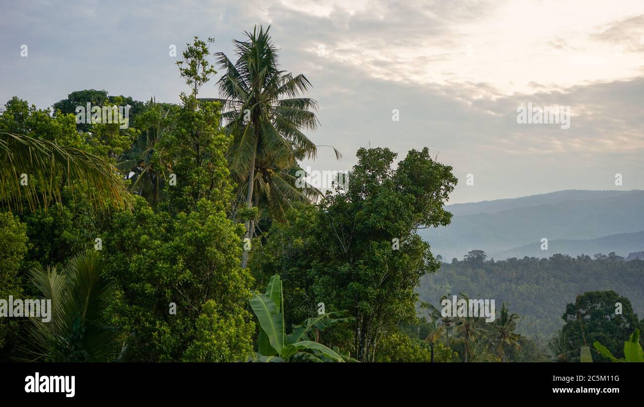 Beautiful sky when the sun rises in the countryside Stock Photo - Alamy