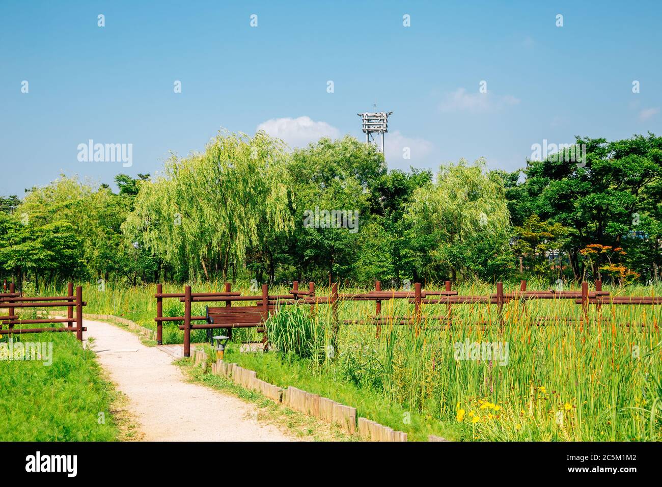 Green forest with fence at Wolmi Park Traditional Garden in Incheon ...