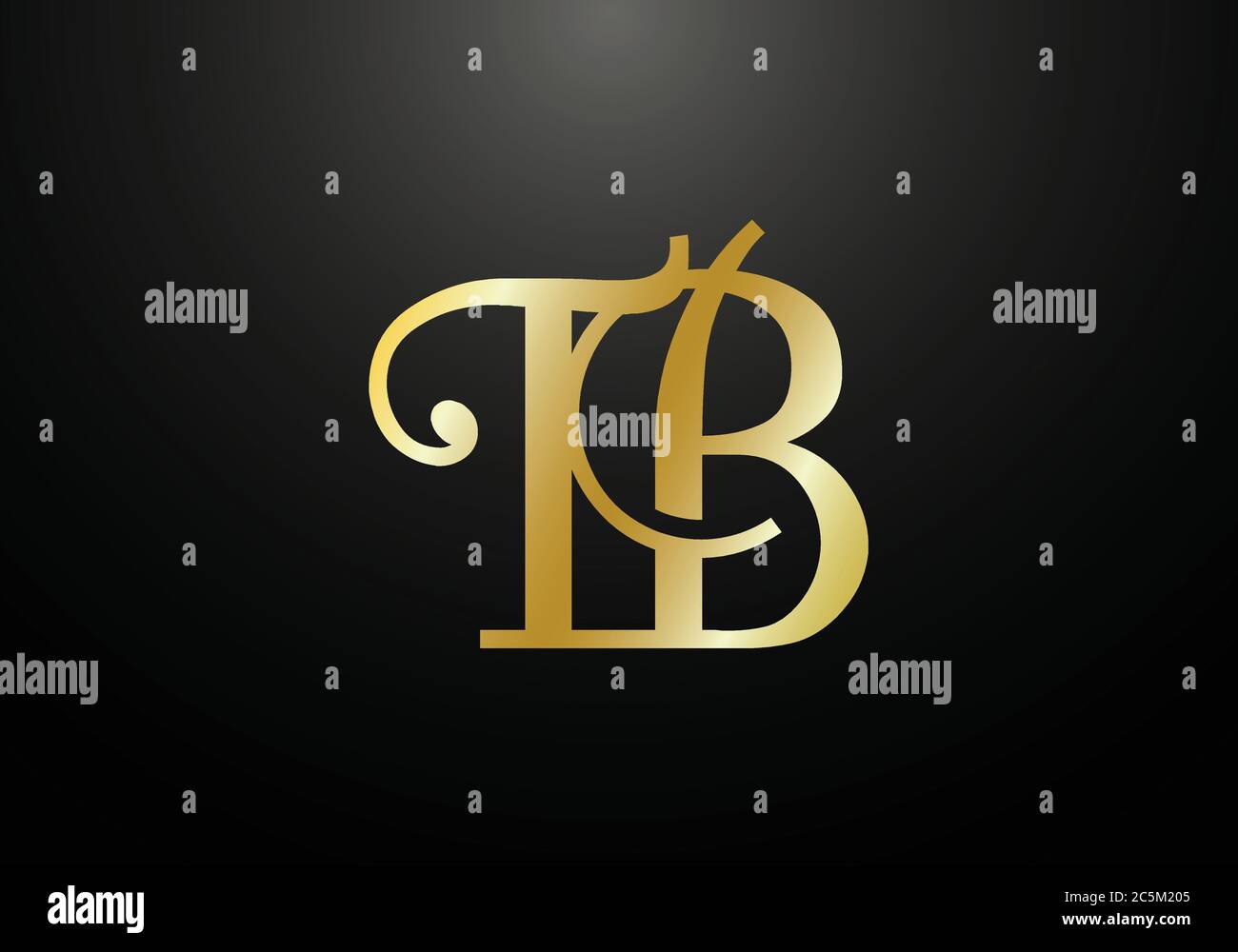 Initial Monogram Letter T B Logo Design Vector Template. T B Letter ...