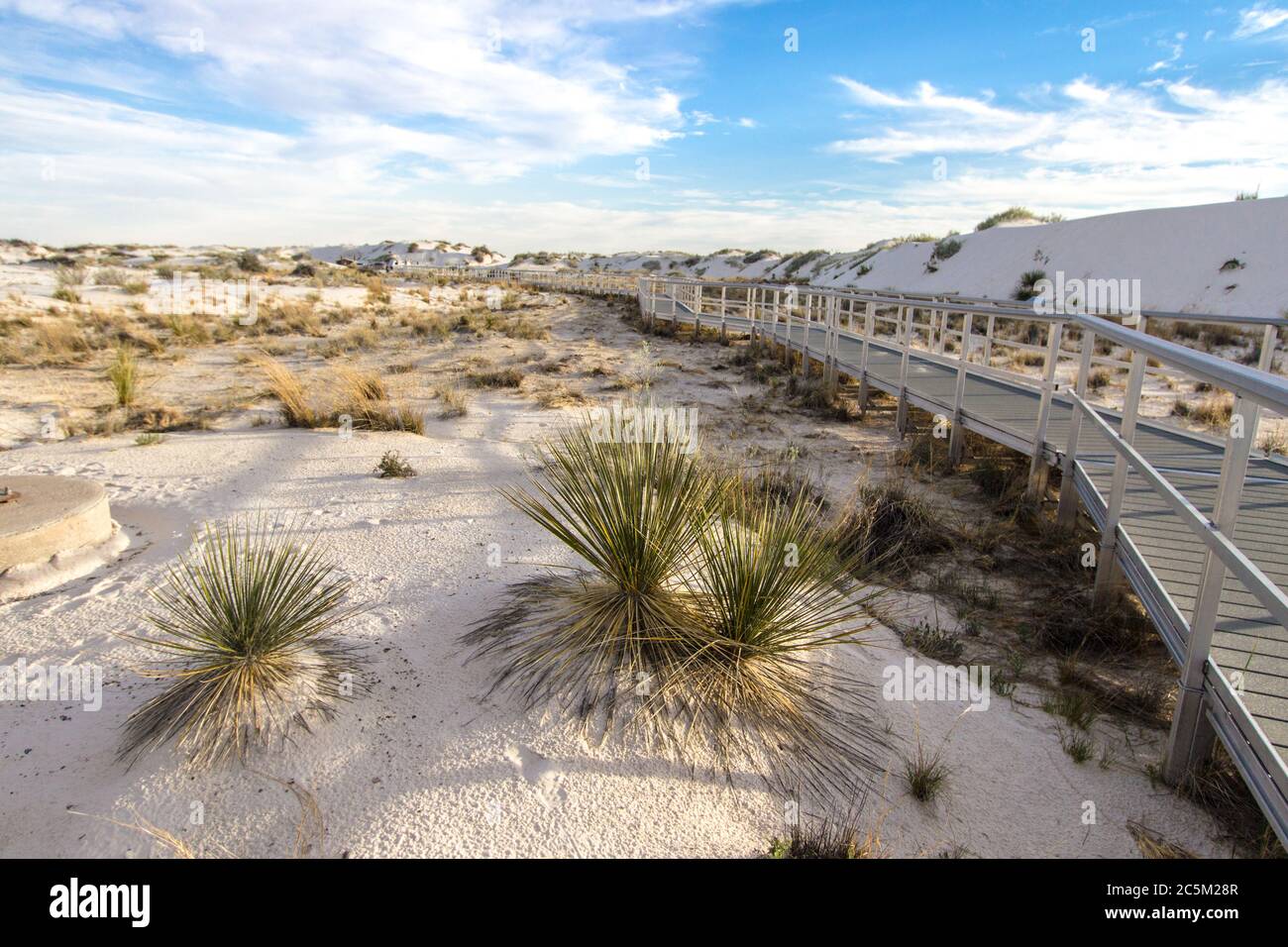Hiking In The Desert. Boardwalk hiking trail through the White Sands ...