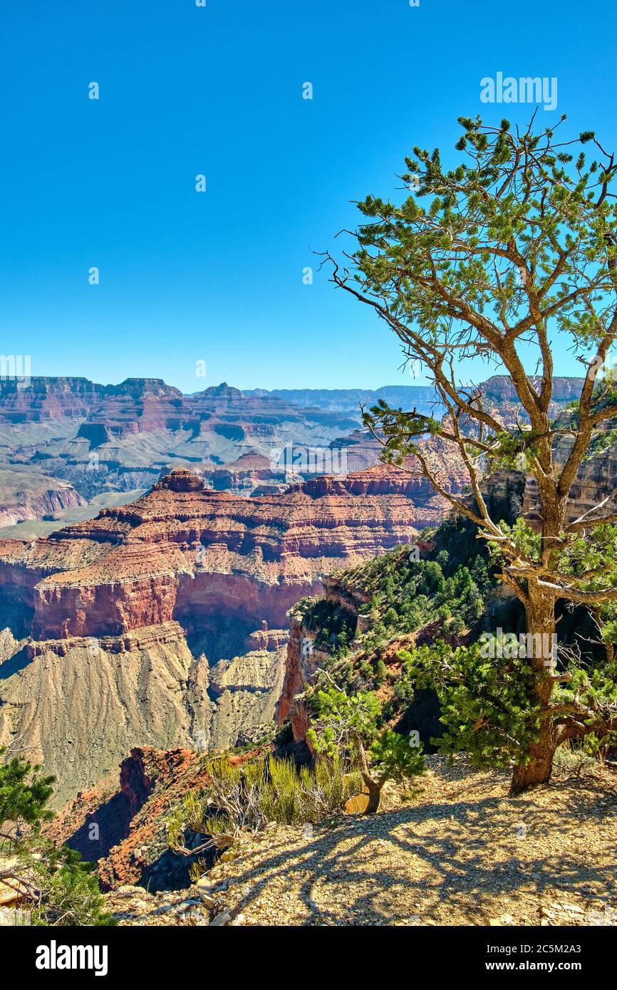 View from the edge of Grand Canyon. USA Stock Photo - Alamy