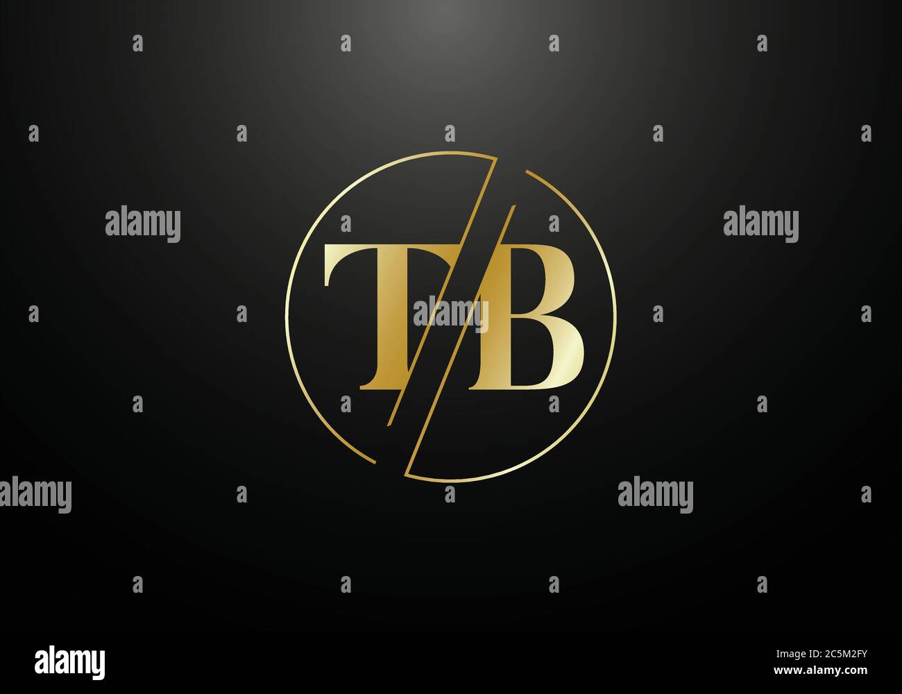 Initial Monogram Letter T B Logo Design Vector Template. T B Letter ...