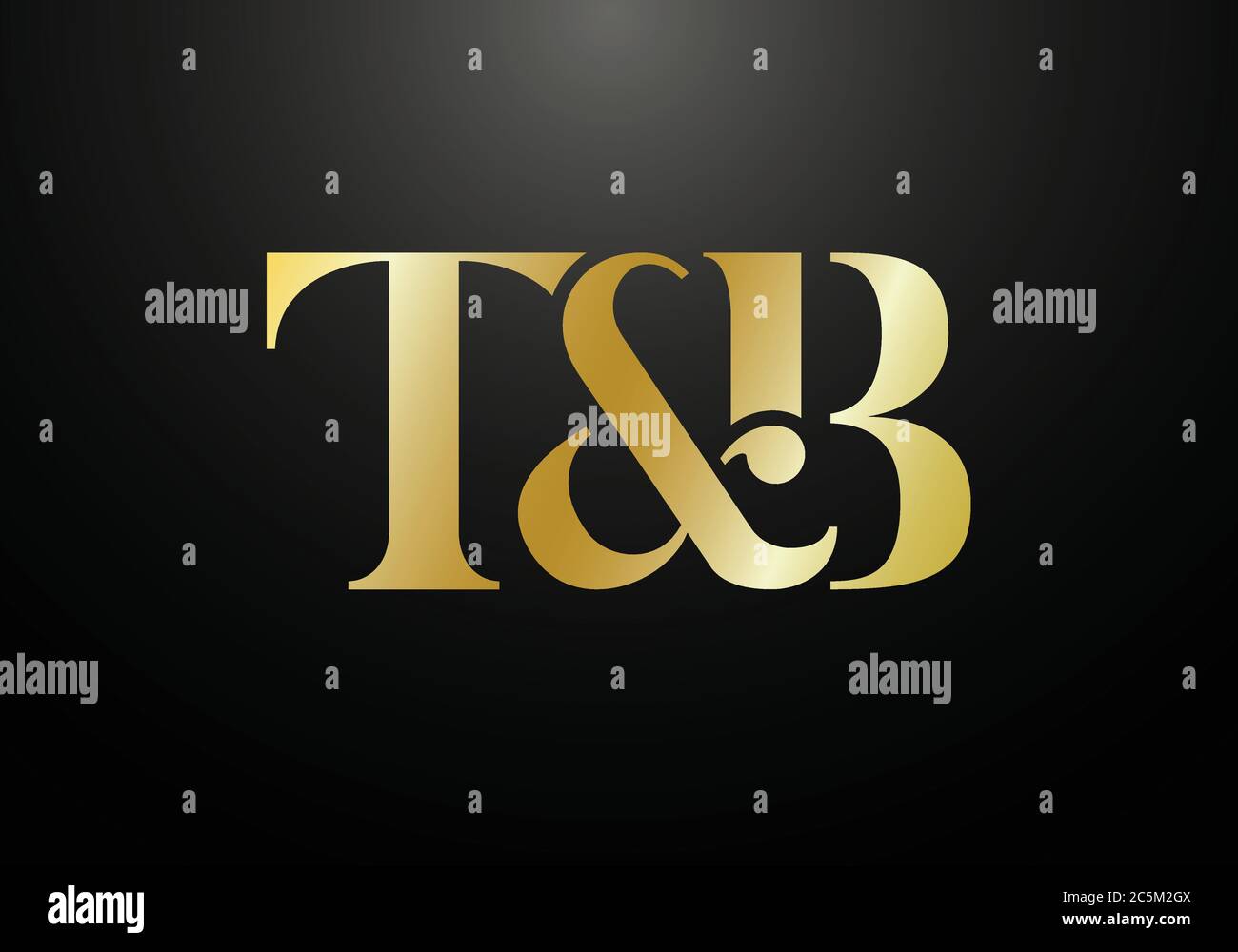Initial Monogram Letter T B Logo Design Vector Template. T B Letter ...