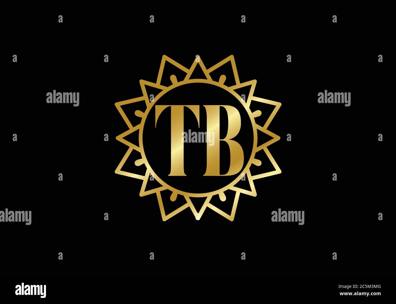 Initial Monogram Letter T B Logo Design Vector Template. T B Letter ...