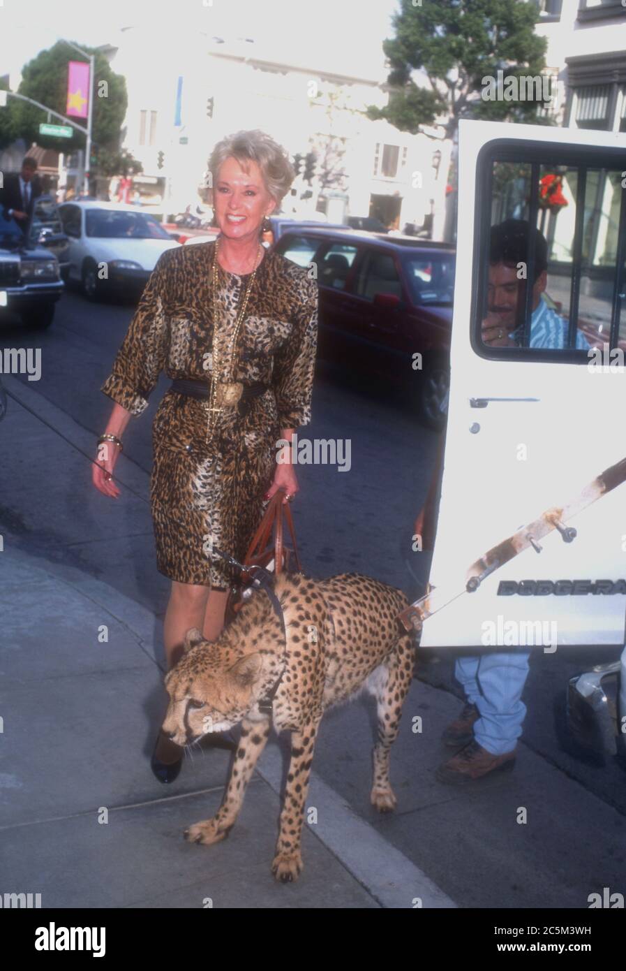Beverly Hills, California, USA 4th December 1995 Actress Tippi Hedren ...