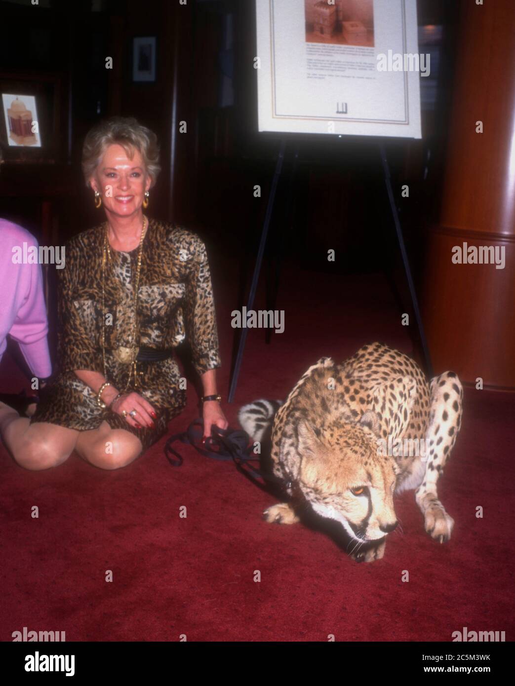 Beverly Hills, California, USA 4th December 1995 Actress Tippi Hedren ...