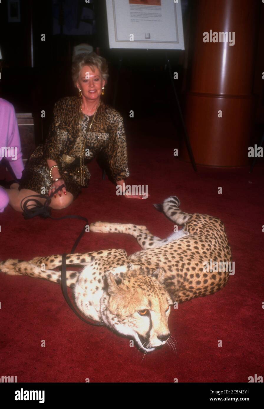 Beverly Hills, California, USA 4th December 1995 Actress Tippi Hedren ...