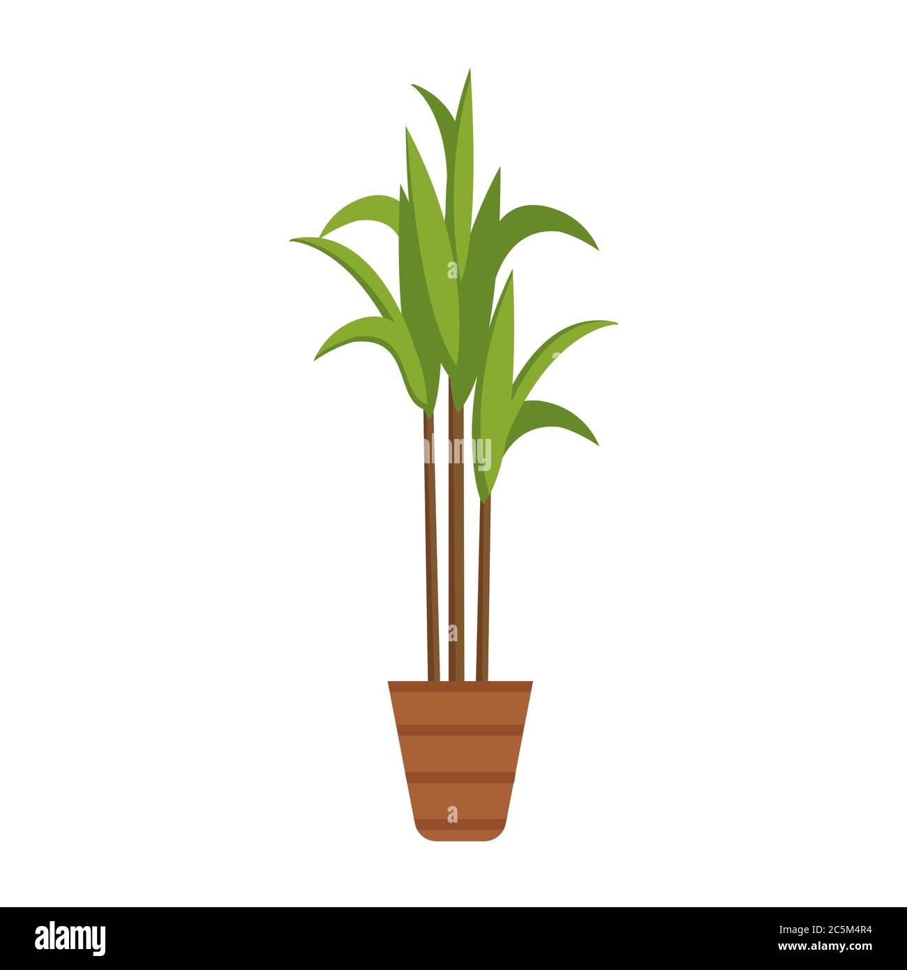 Indoor, house plant on white background. Vector illustration. EPS 10 ...