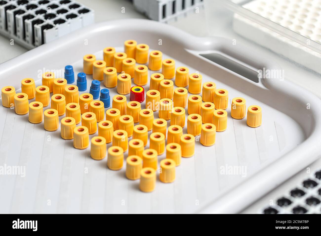 Plastic holder test tubes hi-res stock photography and images - Alamy