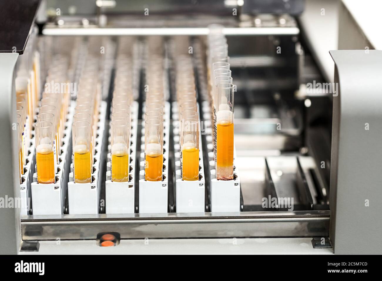 Test-tubes with yellow liquid in the laboratory Stock Photo - Alamy