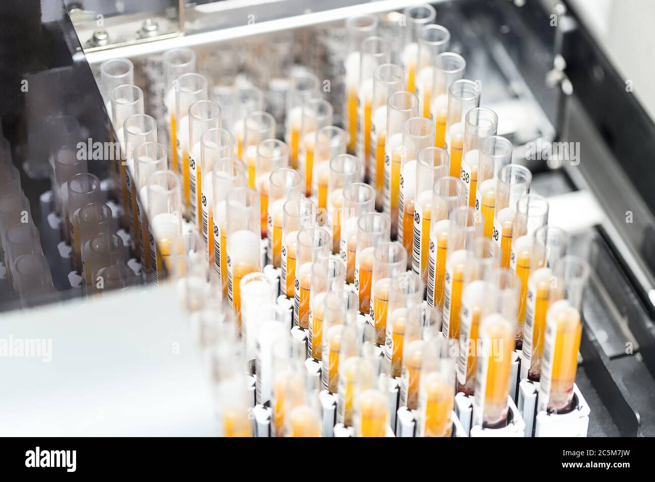 Test-tubes with yellow liquid in the laboratory Stock Photo - Alamy