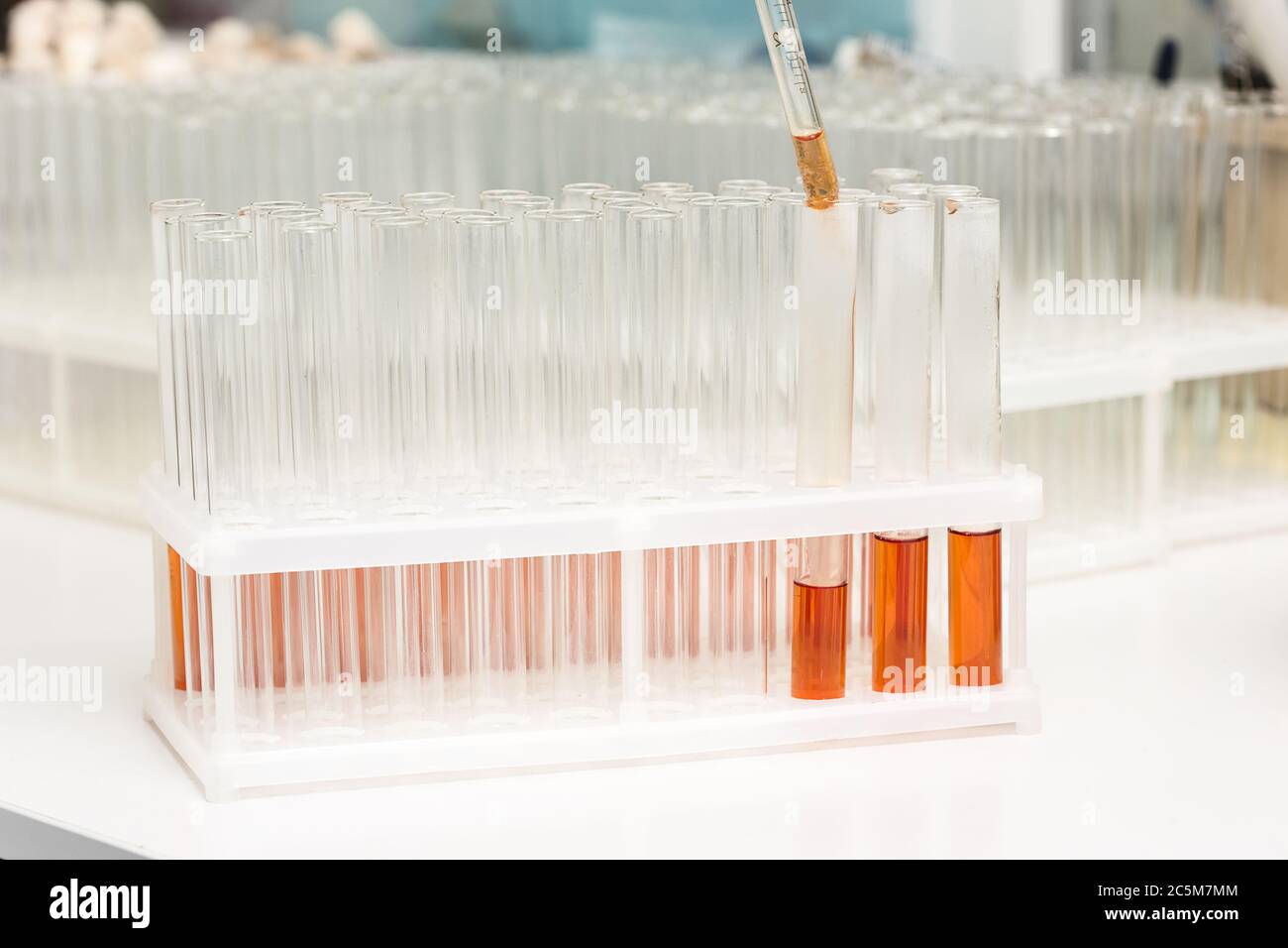 Test-tubes with yellow liquid in the laboratory Stock Photo - Alamy