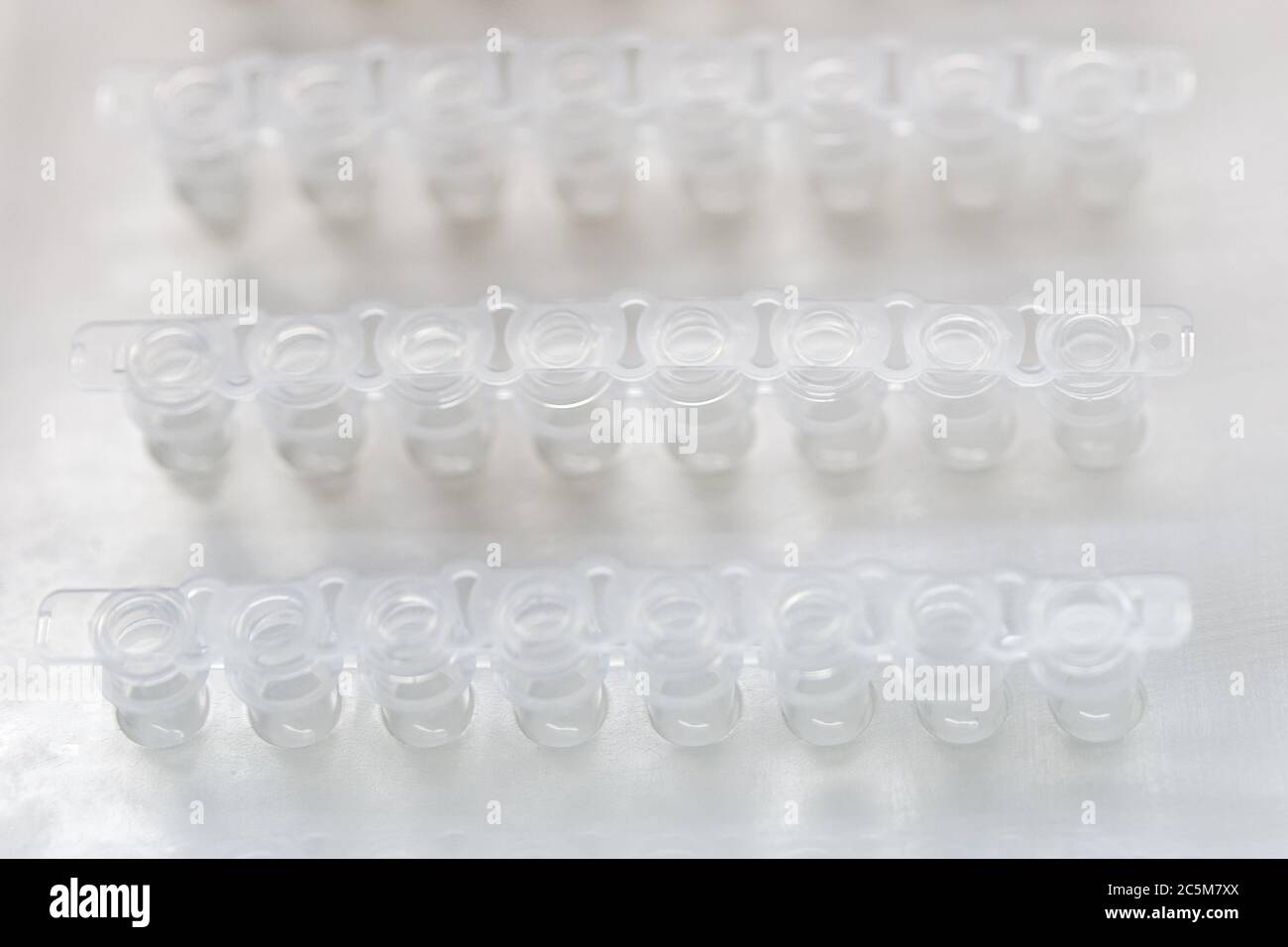 A set of glass tubes for samples. Laboratory chemical equipment Stock ...