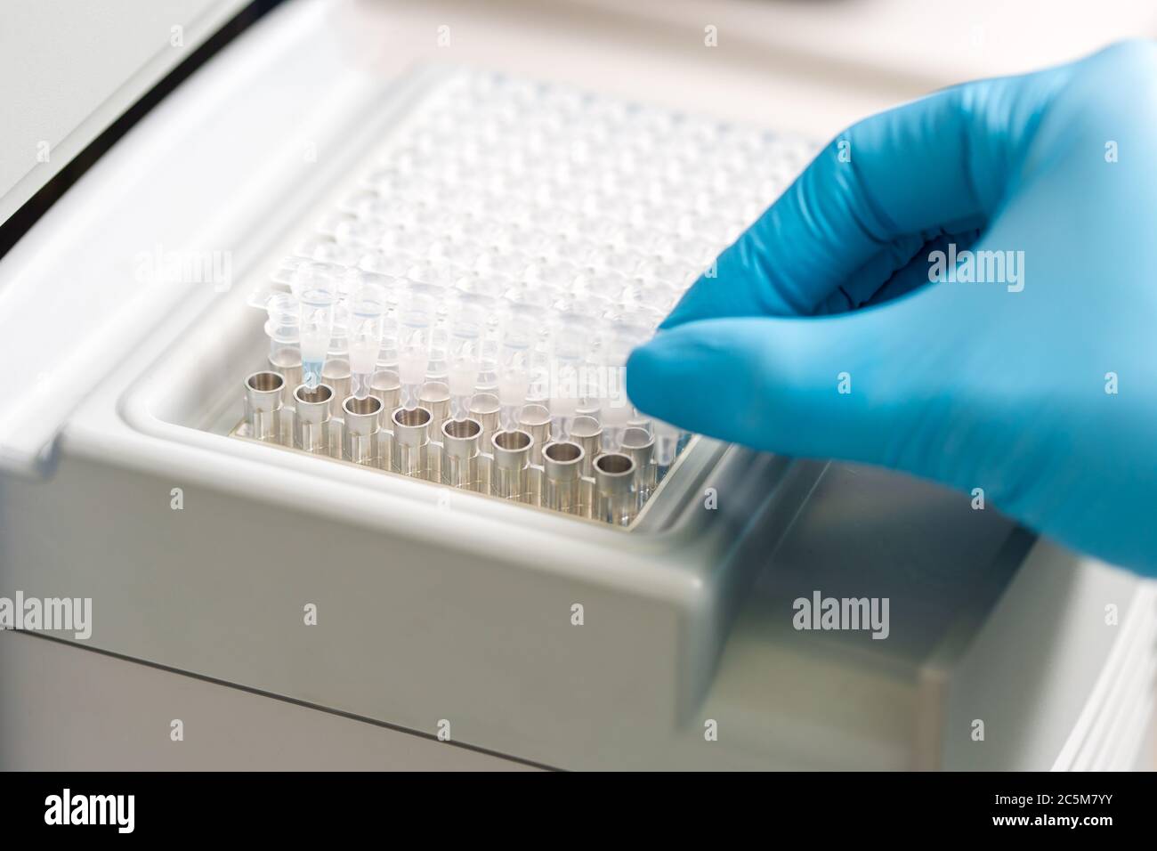 A set of glass tubes for samples. Laboratory chemical equipment Stock ...