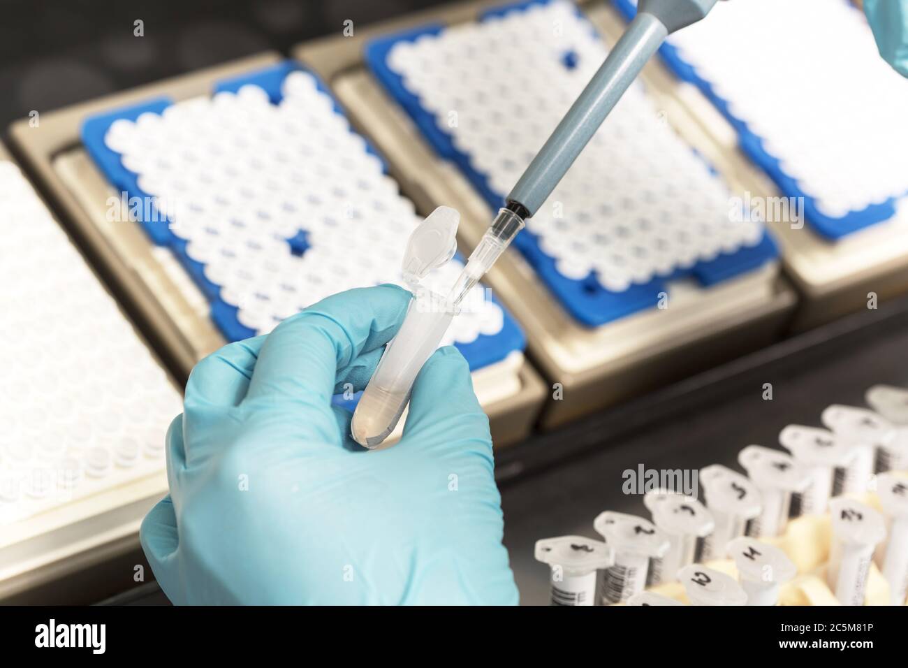 A set of glass tubes for samples. Laboratory chemical equipment Stock ...