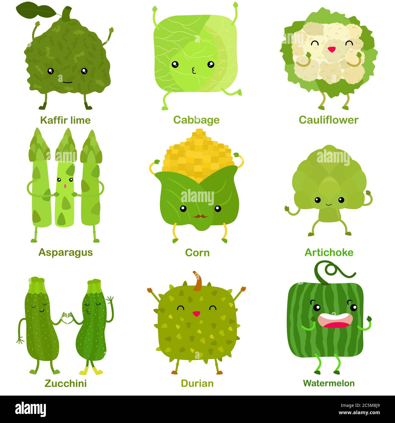 Zucchi Stock Vector Images - Alamy