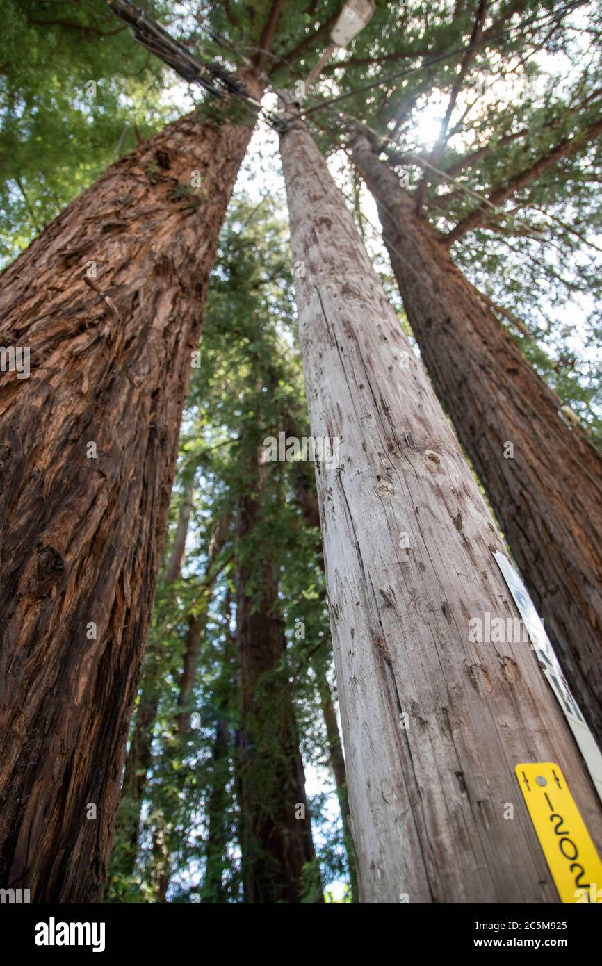 This neighborhood in Mill Valley, CA sits amongst redwood trees and a ...